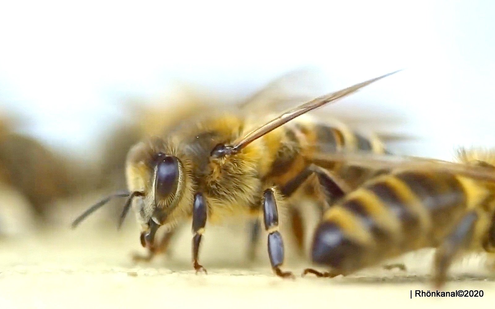 E-Bike Unfall in Bettenhausen – Kontrolle nach Stich verloren ...